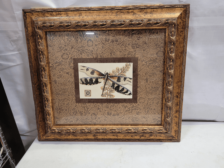 Framed Artwork “Dragonflies and Ferns II” – Paragon Picture Gallery (21 ...