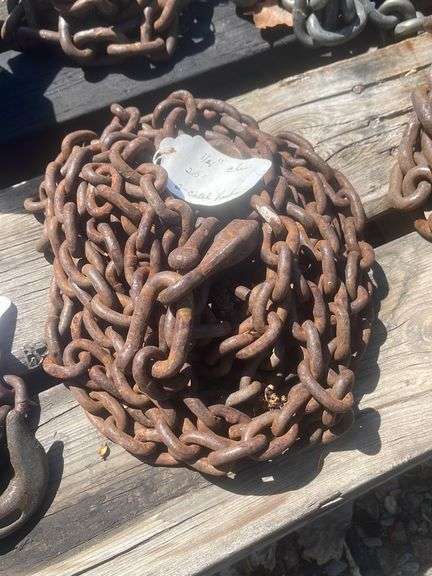 20’ 1/4” Chain with Catch Hooks - Apexx Auctions