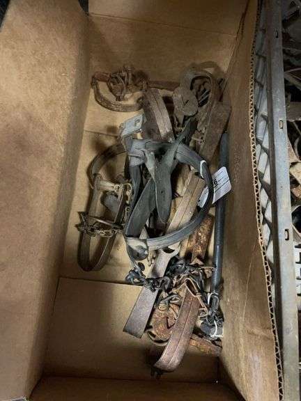 Box of Leg Traps - Apexx Auctions