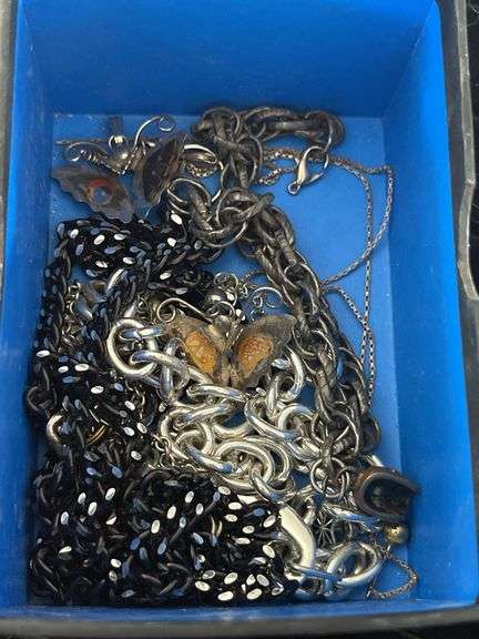 Assorted Jewelry Pieces and Chains - Apexx Auctions
