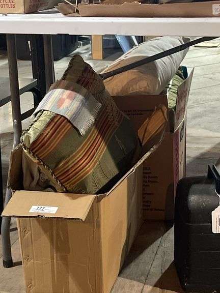 Two Boxes of Throw Pillows - Apexx Auctions