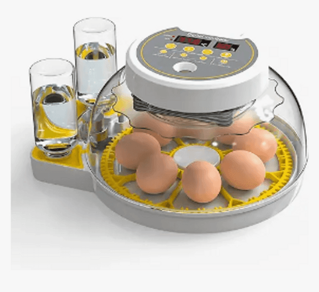 Incubators For Hatching Eggs, 16 Eggs Incubator With Automatic Turning, Led Temperature Screen ...