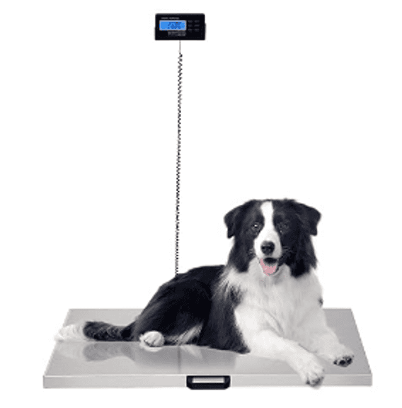 Pcr-2126 Postal Digital Livestock Scale, 440Lbs 201 Stainless Steel ...