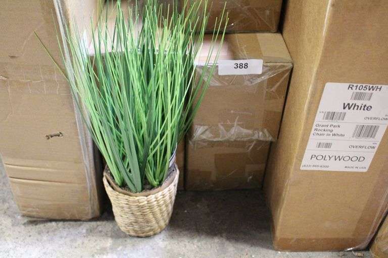 [EXT MSRP: $120.00] [SB: $0.96] Small Potted Grass in Basket ...