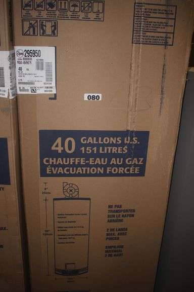 Rheem Professional Classic Power Vent gas water heater with a 40 Gallon ...