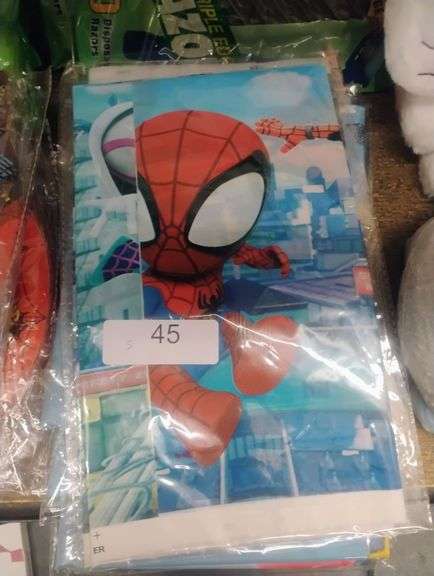 Marvel Spider-Man Graphic Print. A rectangular graphic print featuring ...