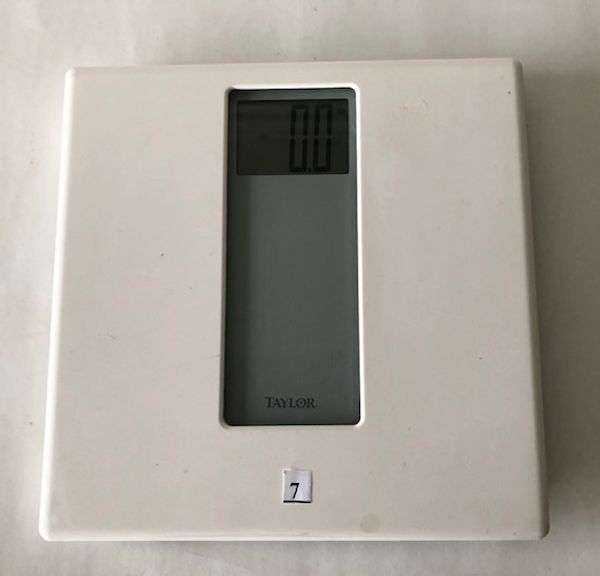 Taylor Body Scale - Auction HUB Texas