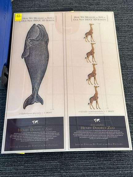Plexiglass Henry Doorly Zoo IMAX Launch Poster Whale and Giraffes ...