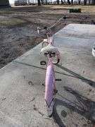 Del Sol Shoreliner Deluxe Bicycle (Pink) - Auction Solutions, Inc ...