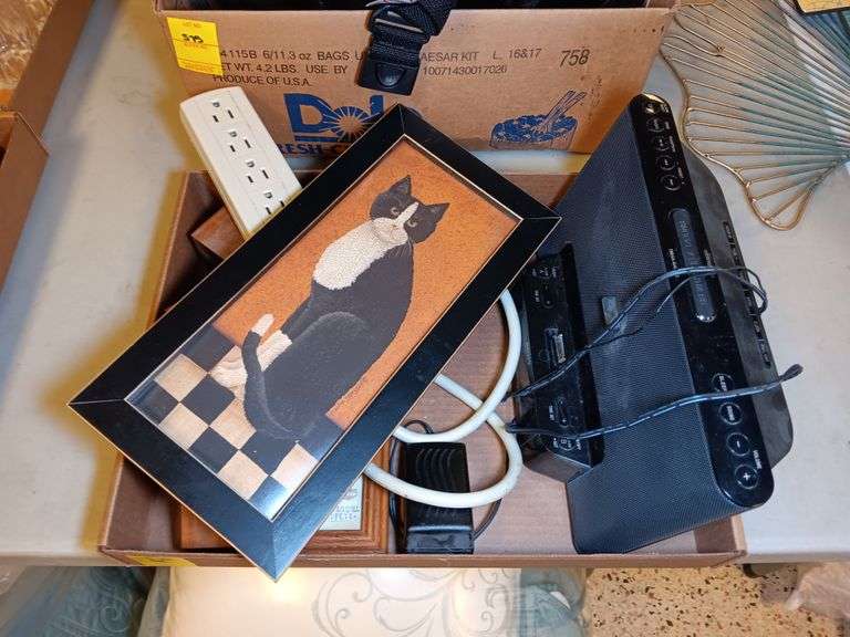 Sony Personal Audio Docking Station, Surge Protector, and Other Items ...