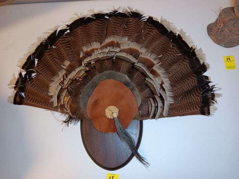 Mounted Turkey Tail Fan - Auction Solutions, Inc - Celebrating 25 Years
