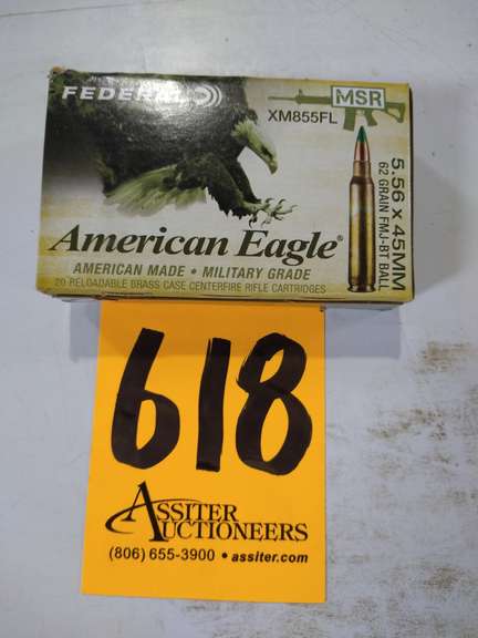 20 Rds Federal 5.56 x 45mm 62 Grain Green Tip - Assiter Auctioneers
