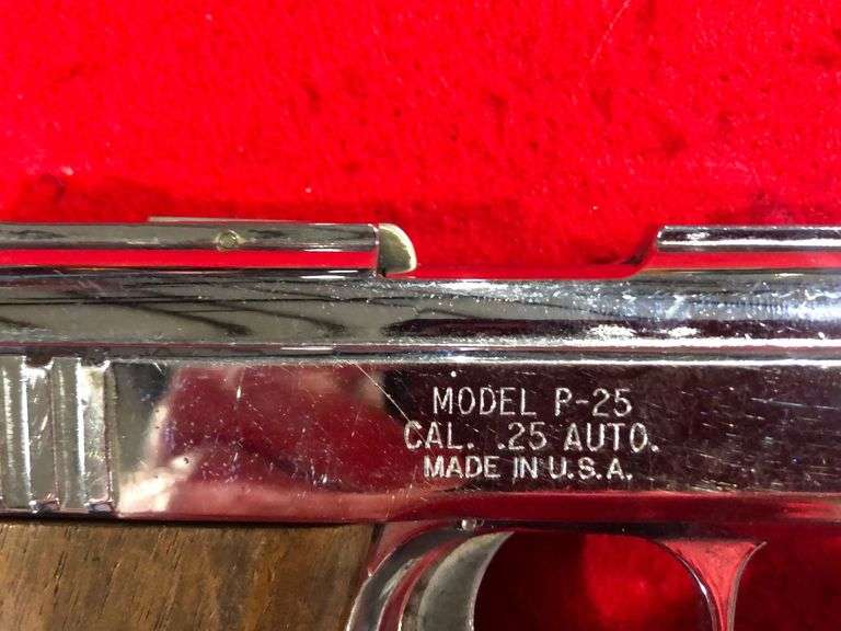 FFL License ONLY Raven P25 .25 Caliber Pistol - Assiter Auctioneers