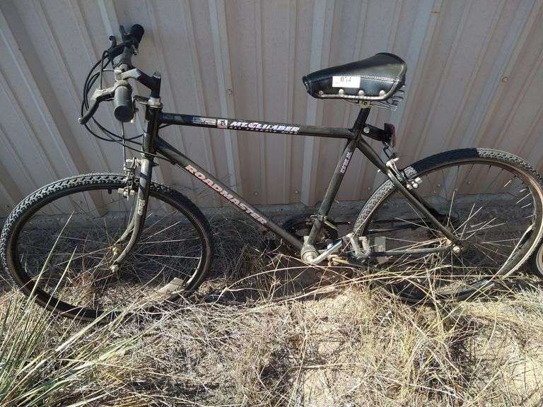 Roadmaster 10spd Mt. Climber Bicycle - Assiter Auctioneers