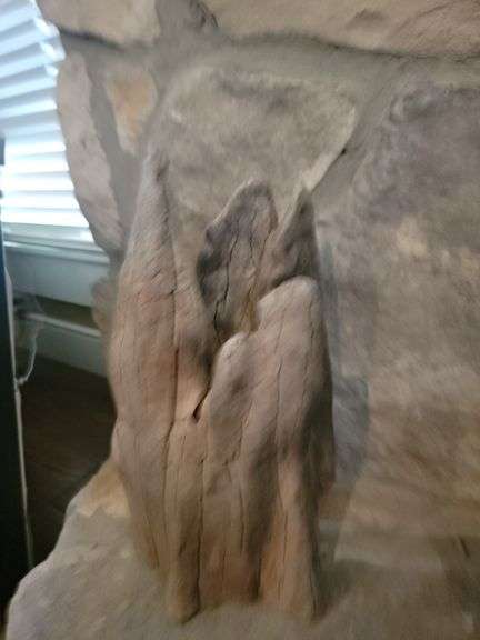 Cypress knees - Advantage Auction