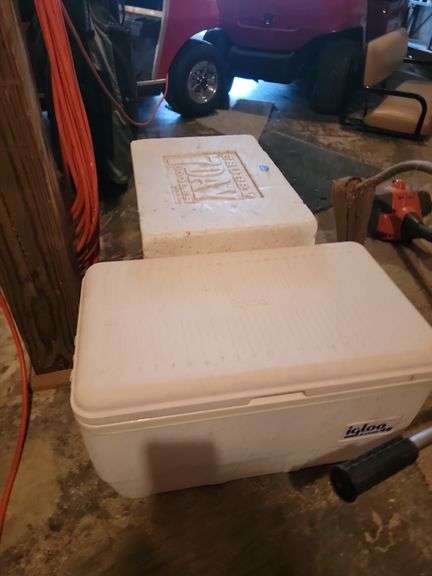 Two coolers - Advantage Auction