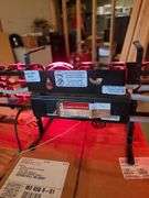 Ruger Neon Light - Advantage Auction