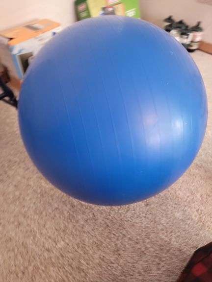Blue exercise ball - Advantage Auction