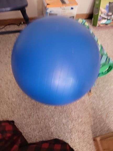 Blue exercise ball - Advantage Auction