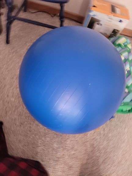 Blue exercise ball - Advantage Auction