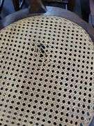 4 Wood & Wicker Chairs (damaged) - Baer Auctioneers - Realty, LLC