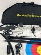 NEW Pandarus Archery Bow, Arrows, Targets, & More - Black And Gold Auctions
