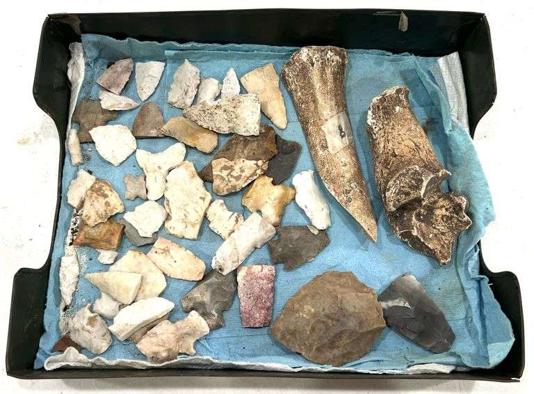 Native American Artifacts & Animal Bones - Black And Gold Auctions