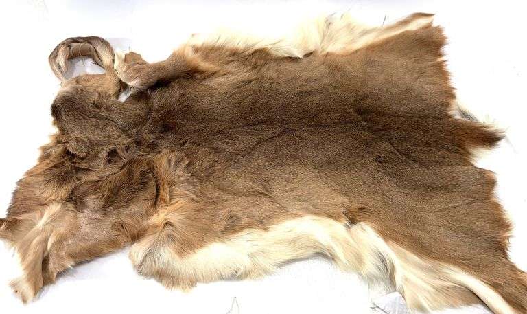 34” x 45” Whitetail Deer Skin Pelt - Black And Gold Auctions