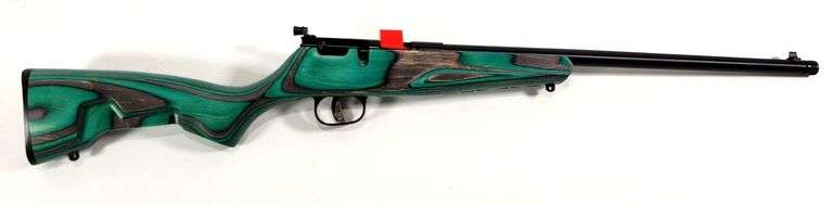 Savage Rascal 22 LR Rifle - Black And Gold Auctions