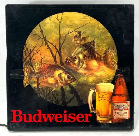 Vintage Budweiser Beer Lighted Crappie Fish Advertisement Sign - Black ...