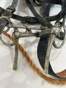 Horse Care Items - Halter / Bridle / Breeching Harness - Black And Gold ...