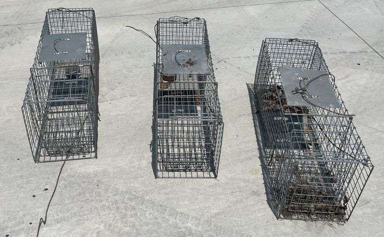 (3) Animal Live Traps - Black And Gold Auctions