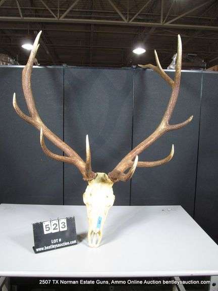 12 POINT MULE DEER ANTLER MOUNT - Bentley & Associates, LLC
