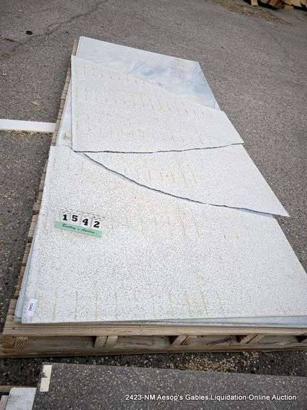 PALLET: ASSORTED SIZE THIN CUT GRANITE SHEETS (4X MONEY) - Bentley ...