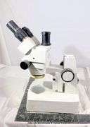 STEREOMASTER FISHER SCIENTIFIC MICROSCOPE - Bentley & Associates, LLC