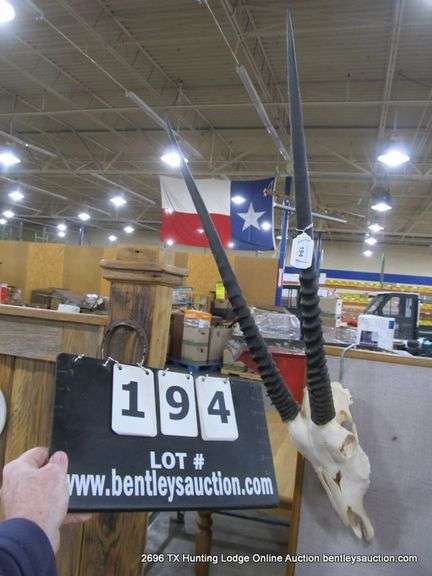 WALL MOUNT GEMSBOK ORYX SKULL/HORN MOUNT - Bentley & Associates, LLC