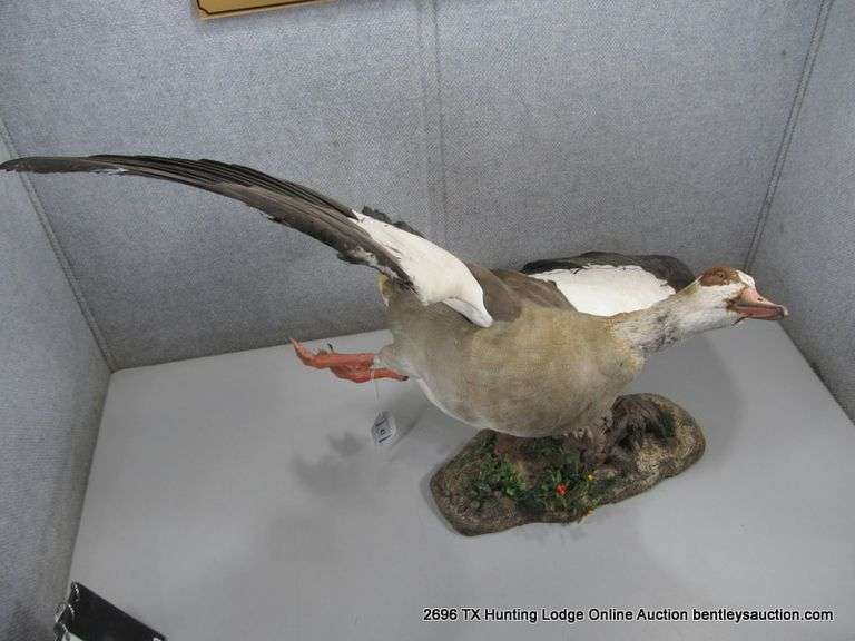 MOUNTED GOOSE - Bentley & Associates, LLC