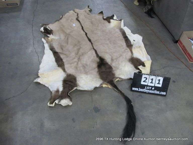 SOUTH AFRICAN ANTELOPE PELT - Bentley & Associates, LLC