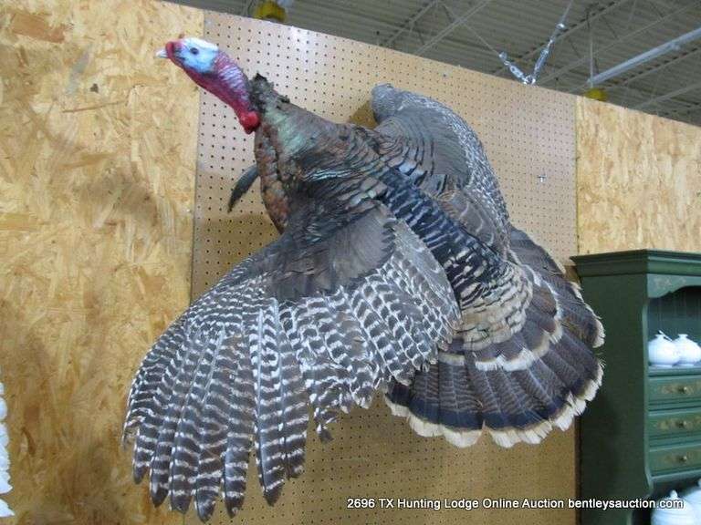 NORTH AMERICAN WILD TURKEY WALL MOUNT - Bentley & Associates, LLC