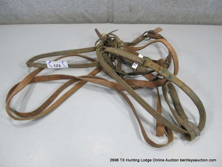 HORSE REIGNS/LEAD HARNESS - Bentley & Associates, LLC