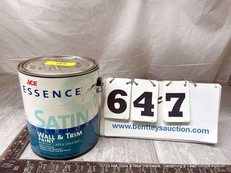 ACE ESSENCE SATIN INTERIOR WALL & TRIM PAINT ULTRA WHITE, 1 GALLON ...