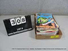 BOX OF ASSORTED COMIC BOOKS - Bentley & Associates, LLC