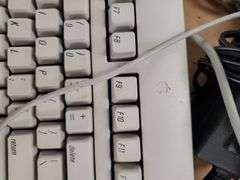 Apple Desktop Bus Mouse family number g5431... Apple Design keyboard ...