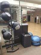 Dynamax medicine balls with rack..two balance ball, The Step platforms ...