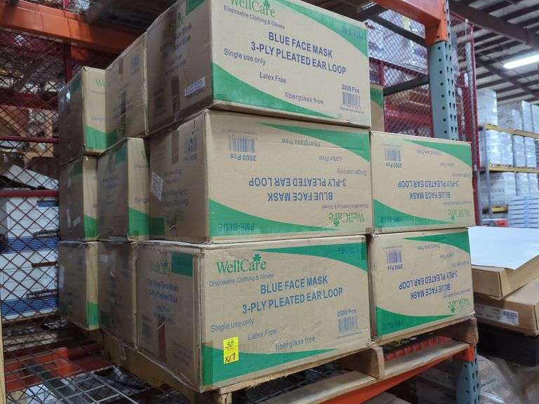 Case of 2000 piece WellCare 3-ply non-woven face masks with ear loops ...