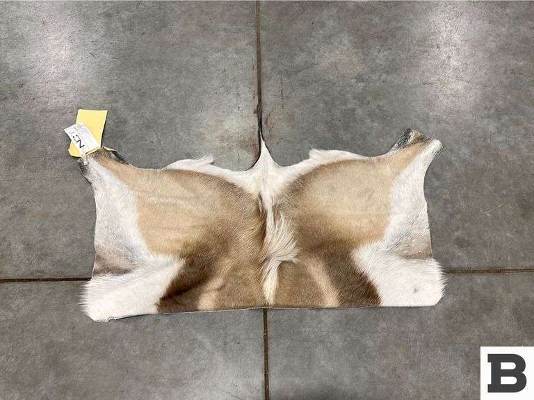 Springbok Hide - Booker Auction Company