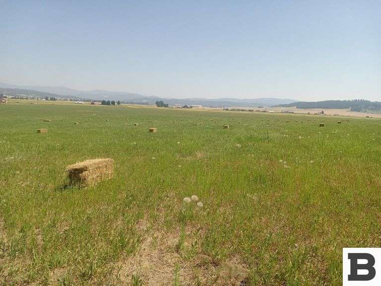 2024 Smooth Brome Grass Hay - Booker Auction Company