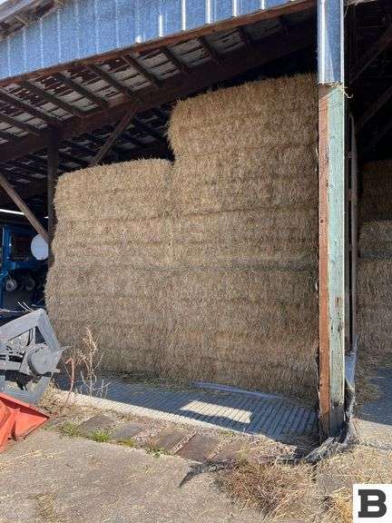 Orchard Grass Fescue Mix Hay - Booker Auction Company