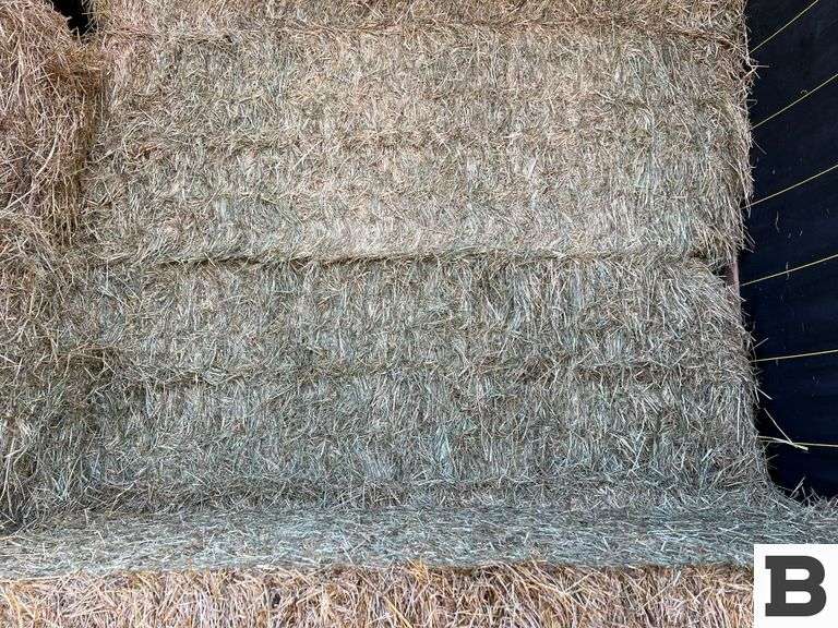Orchard Grass Fescue Mix Hay - Booker Auction Company
