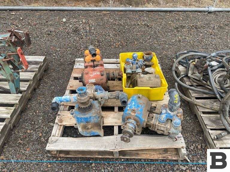 John Blue Transfer Pumps - Booker Auction Company